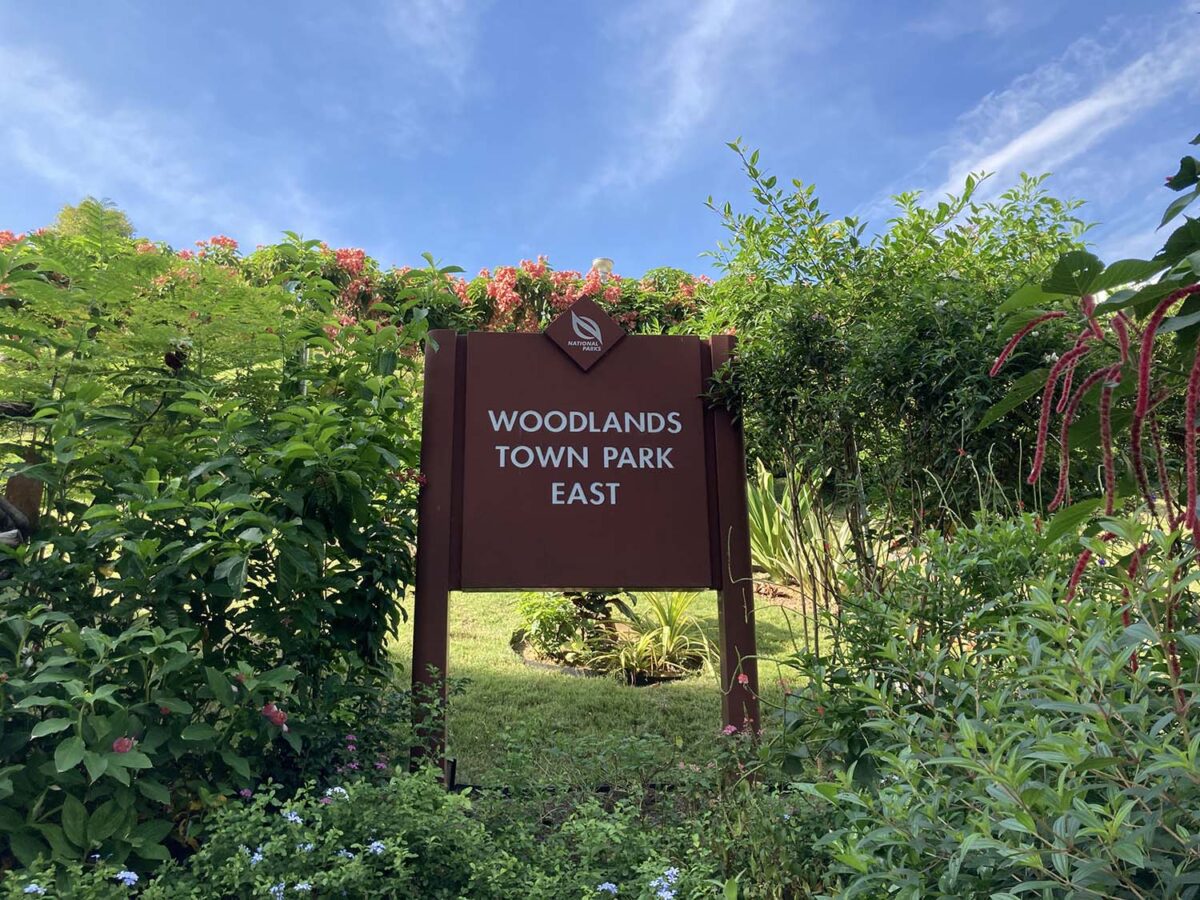 Hidden Gem In Woodlands: 2,500m² Community Garden Has Over 200 Types Of ...