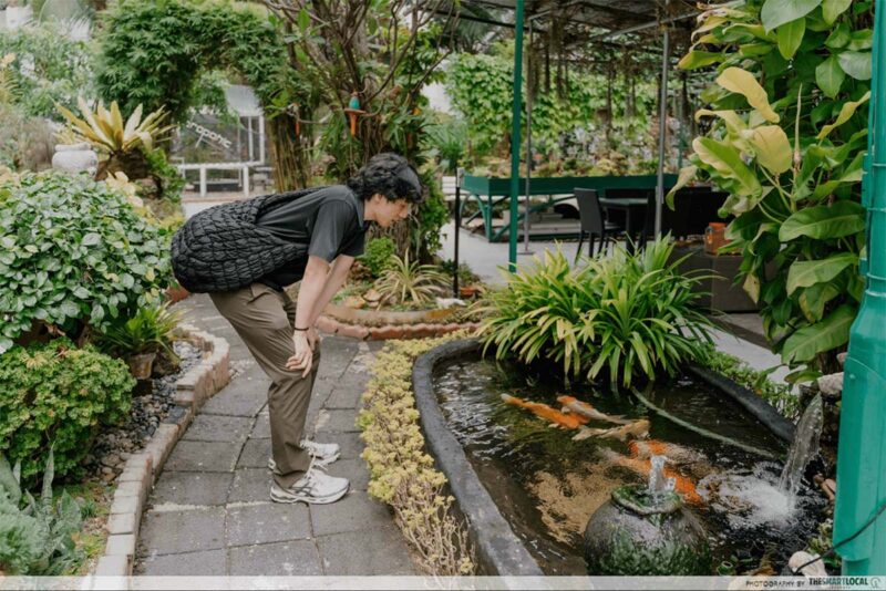 9 Best Community Gardens In Singapore For You To Admire Hand-Grown ...