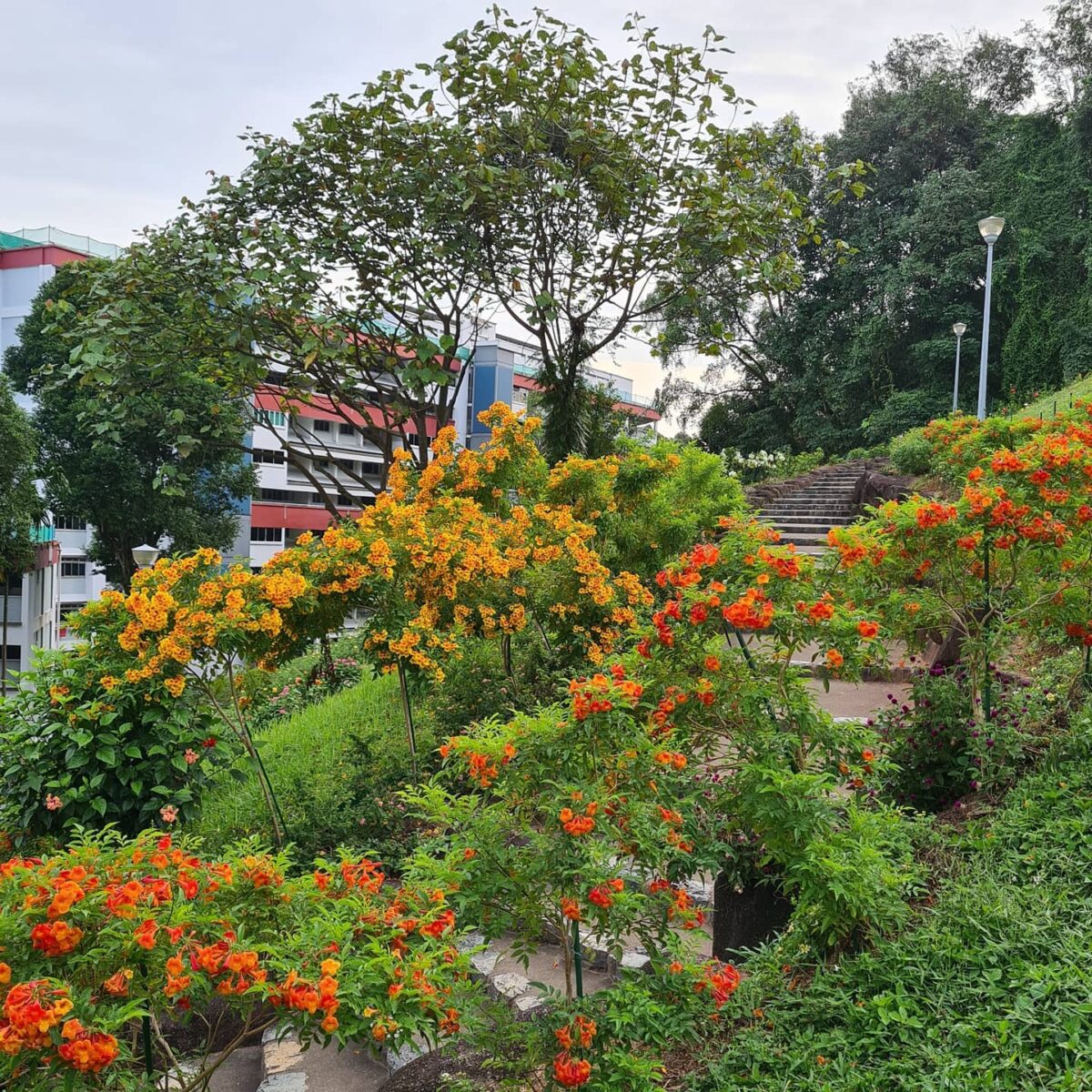 9 Best Community Gardens In Singapore For You To Admire Hand-Grown ...