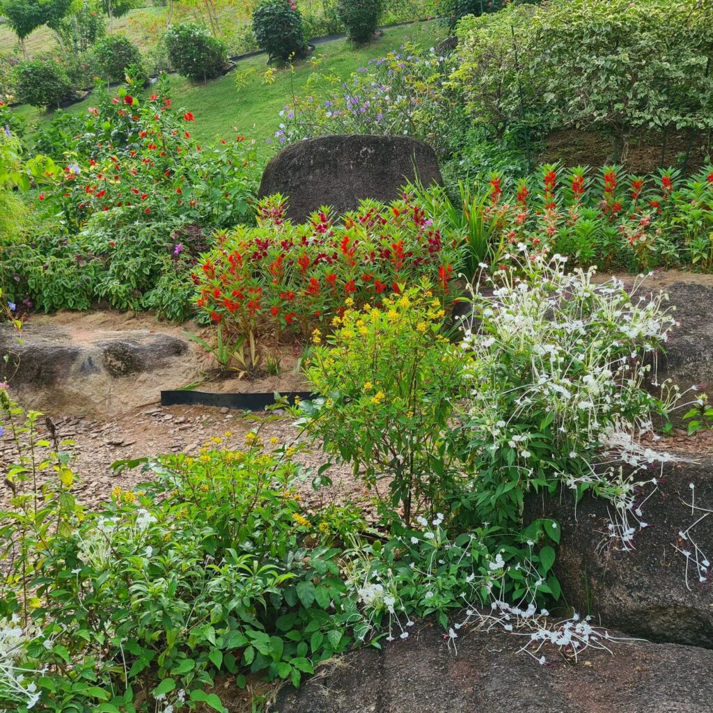9 Best Community Gardens In Singapore For You To Admire Hand-Grown ...