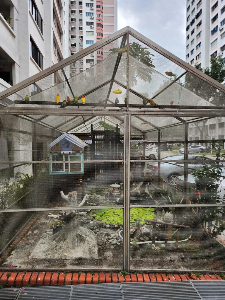 9 Best Community Gardens In Singapore For You To Admire Hand-Grown ...